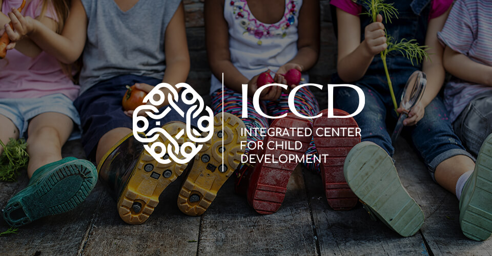 Developmental Behavioral Pediatrics Services, Boston